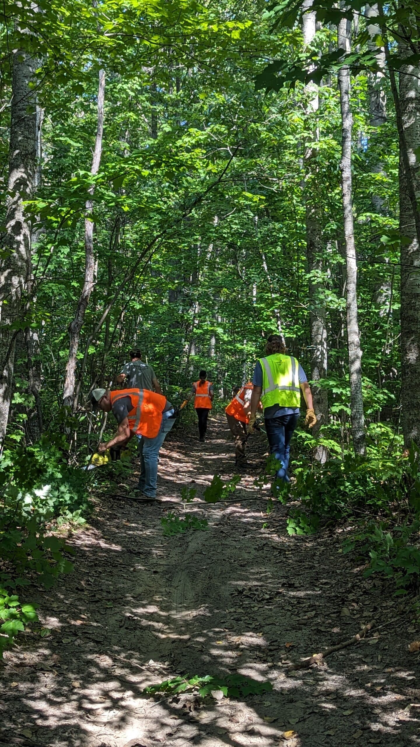 Tread Lightly! Impact Report: Tomahawk Trail & Indian River Route ...