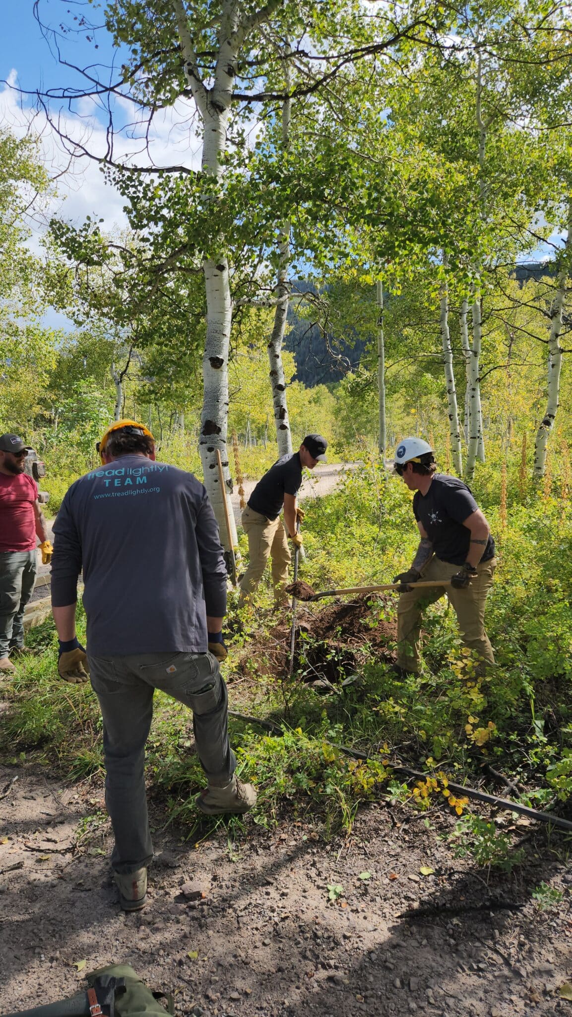 Tread Lightly! Impact Report: Heber-Kamas National Forest ...