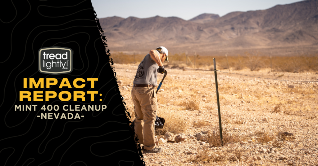 Tread Lightly! Impact Report: Mint 400 Cleanup - Tread Lightly!